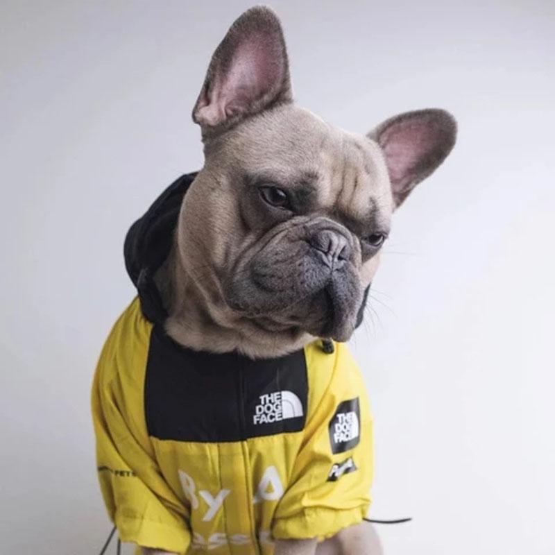 Paw-Tex® Raincoat - Adam's whisper